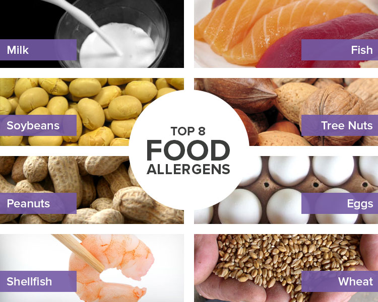 Sneaky Sources of Common Food Allergens – Food Allergy Allies